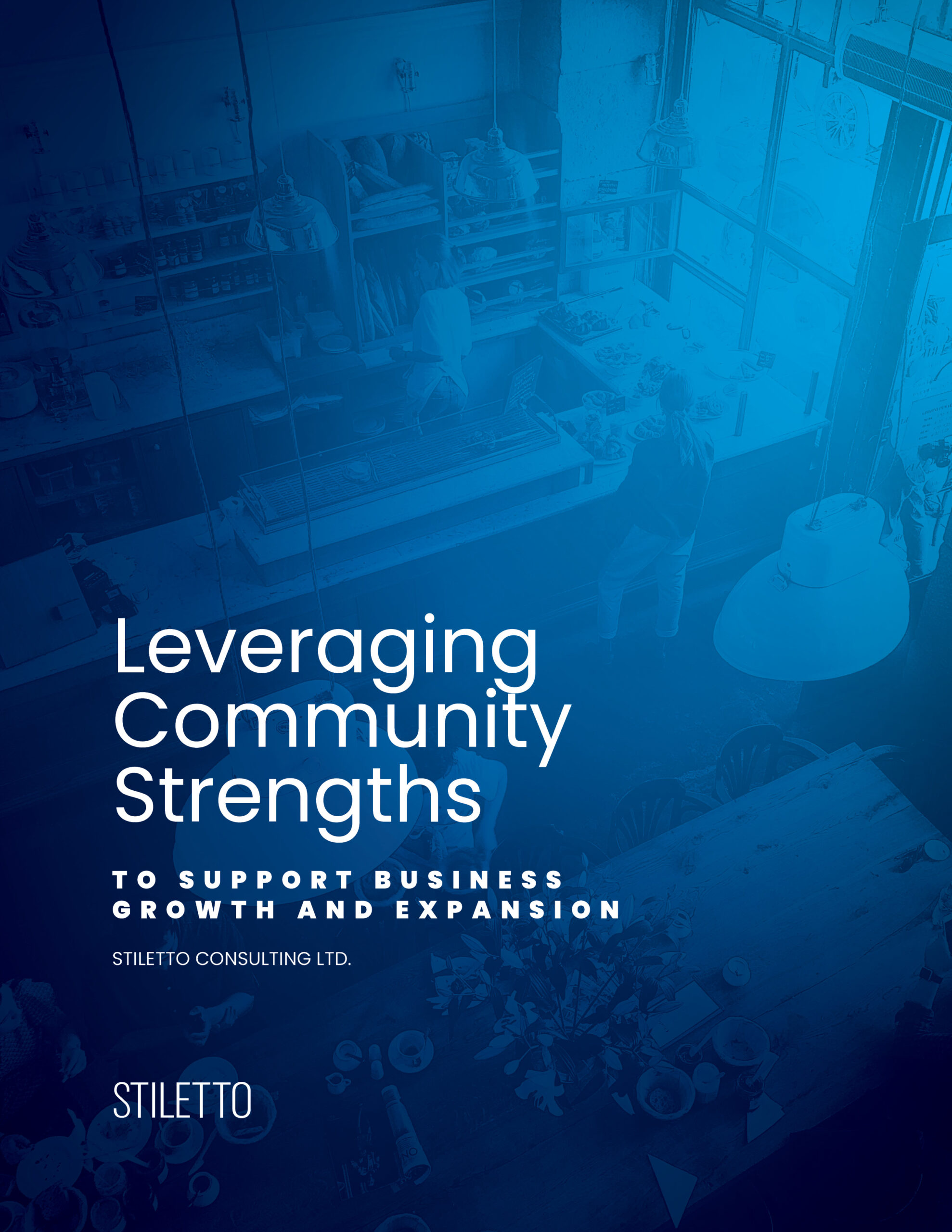 Leveraging Community Strengths to Support Business Growth and Expansion ...